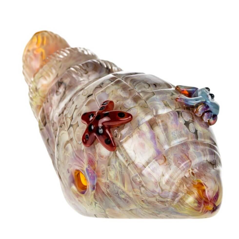 Whimsical Conch Shell Glass Hand Pipe - Aurora Delight - It's 4:20 ...