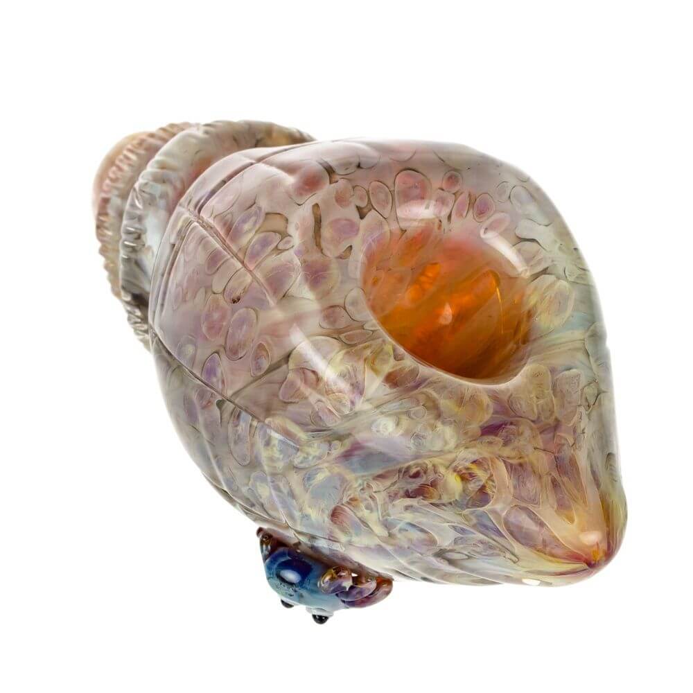 Whimsical Conch Shell Glass Hand Pipe - Aurora Delight - It's 4:20 ...